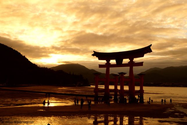 15 Japan highlights you have to see once in a lifetime!