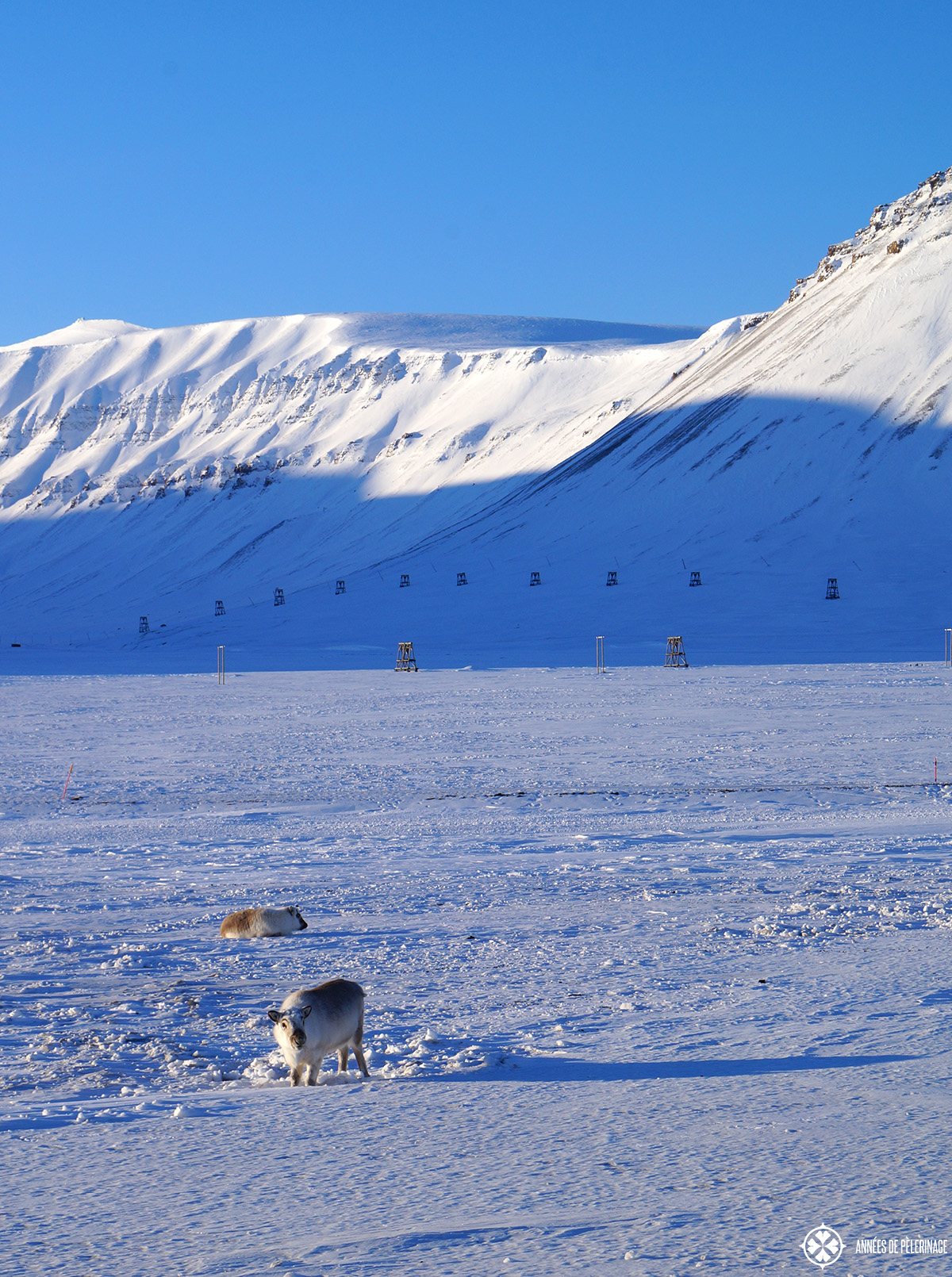 The 10 BEST things to do in Svalbard & Spitsbergen