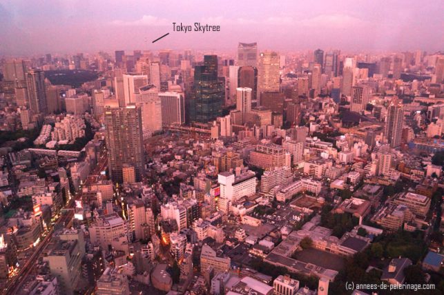 Mori Tower, Roppongi Hills – the best view in Tokyo [+how to get there]