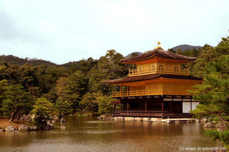 15 reasons why you should visit Japan