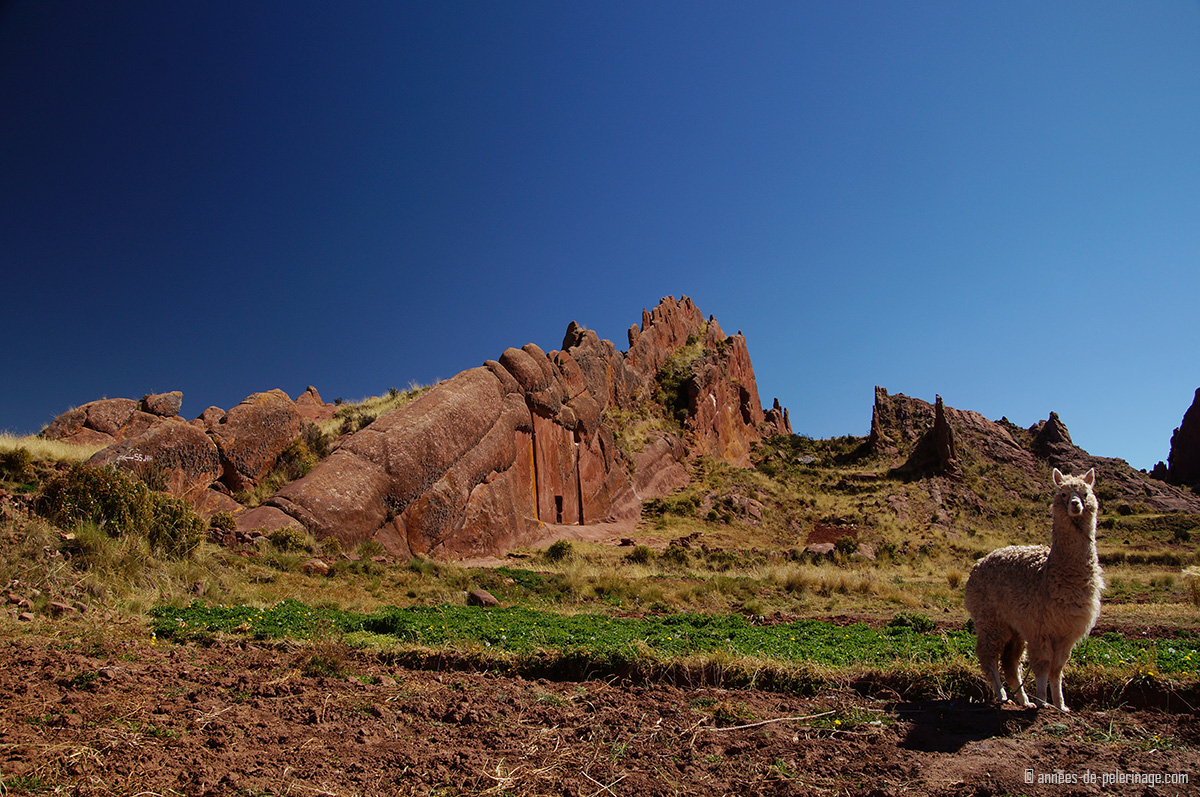 Aramu Muru: The spiritual doorway of the Incas