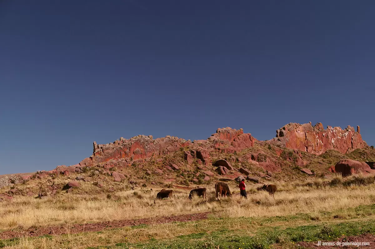 Aramu Muru: The spiritual doorway of the Incas