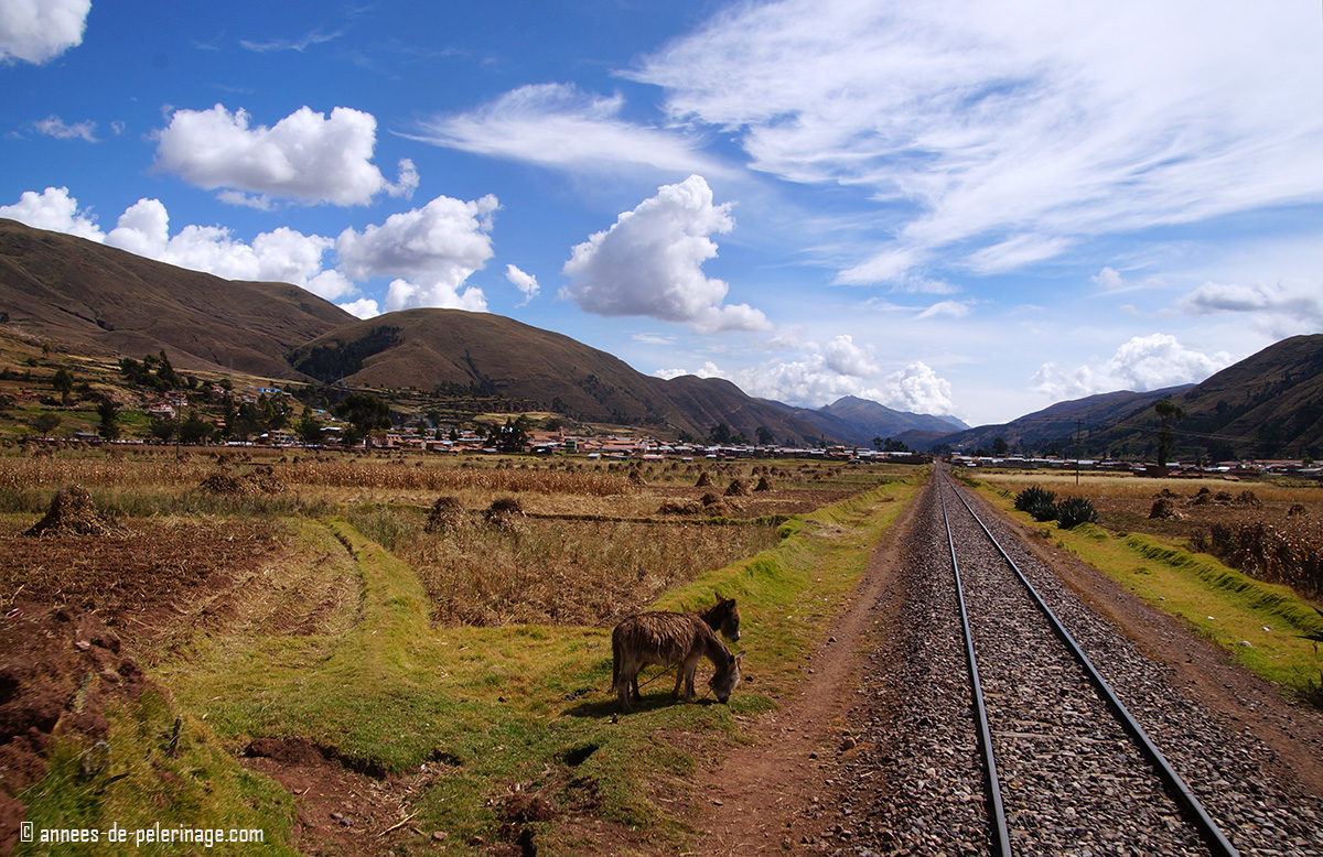 Andean Explorer - A Review of the Luxury Train