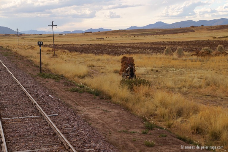 Andean Explorer - A Review of the Luxury Train