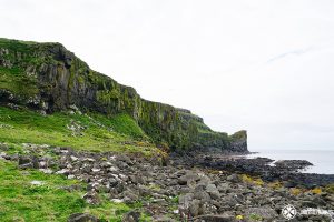 Visiting the Puffin Colony on Lunga, Scotland [a travel guide]