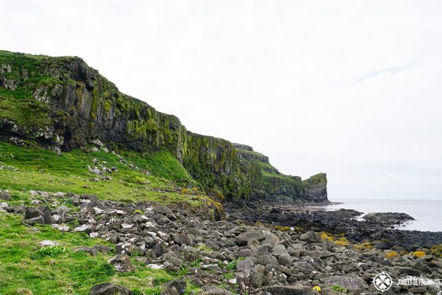 Visiting the Puffin Colony on Lunga, Scotland [a travel guide]