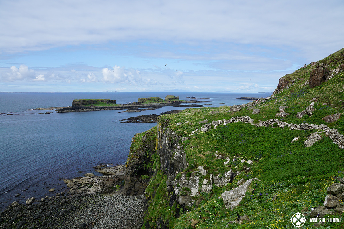 Visiting the Puffin Colony on Lunga, Scotland [a travel guide]