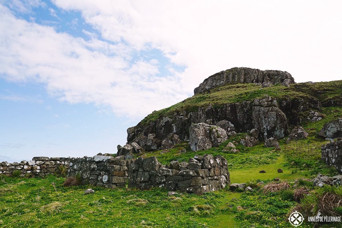 Visiting the Puffin Colony on Lunga, Scotland [a travel guide]