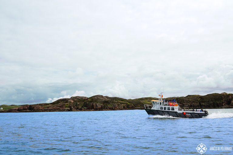 Visiting the Puffin Colony on Lunga, Scotland [a travel guide]