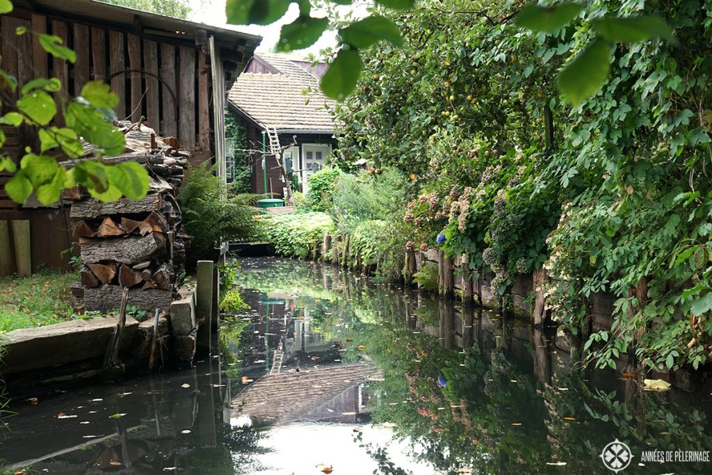 Visit the Spreewald - the best day trip from Berlin