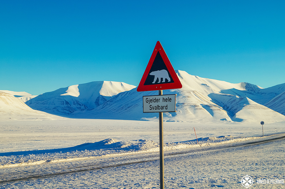 The 10 BEST things to do in Svalbard & Spitsbergen