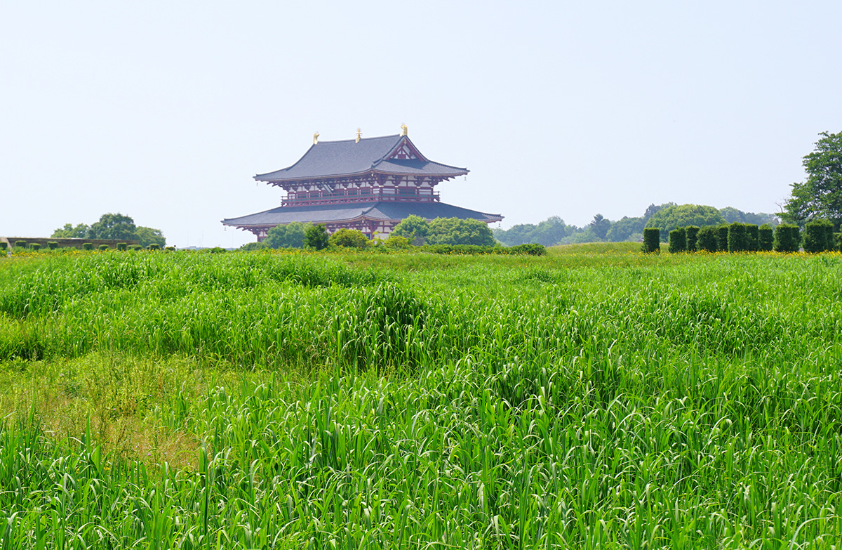 10 best things to do in Nara, Japan [2020 travel guide]