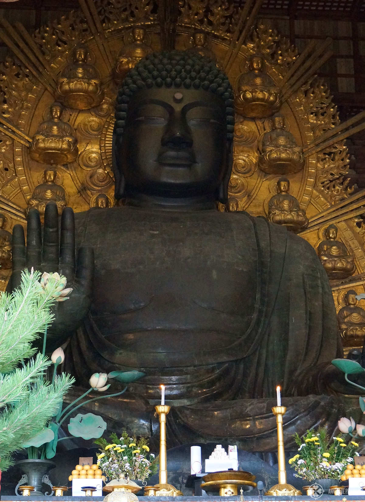 Nara Temples & Shrines: 10 amazing places you have to visit [2020 guide]