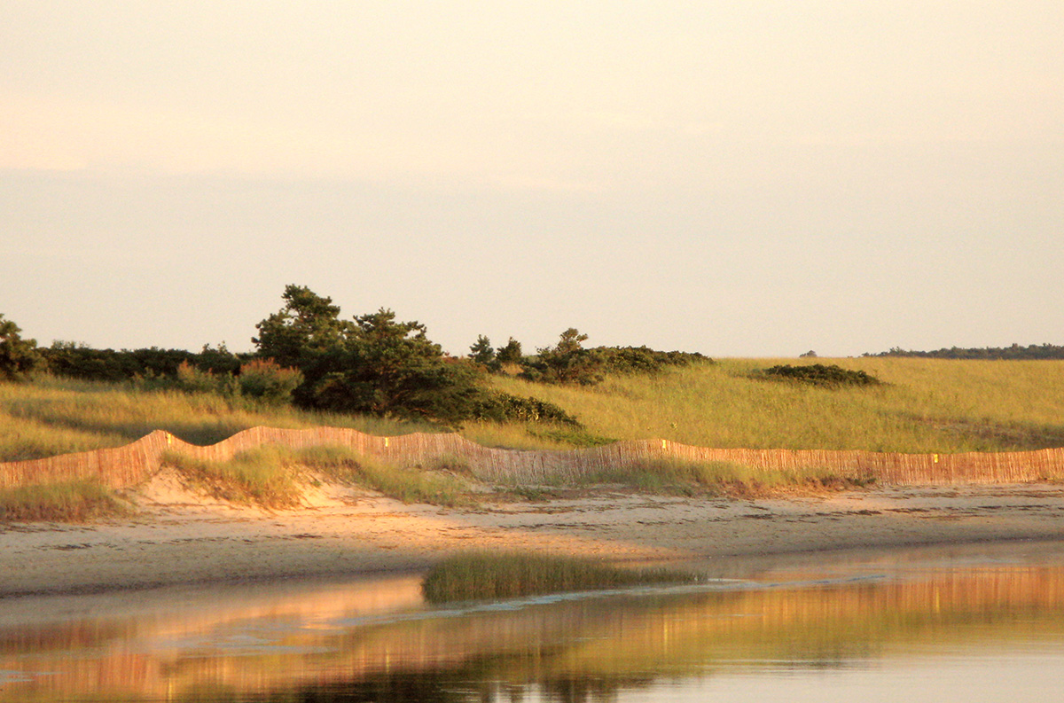 The 20 best beaches in the USA [Pictures & practical tips]