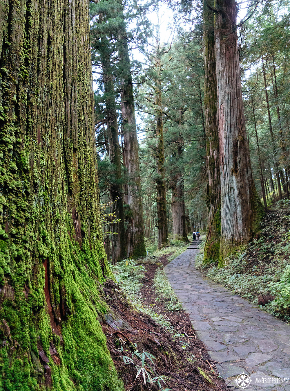 The 10 best things to do in Nikko [+ how to get there from Tokyo]