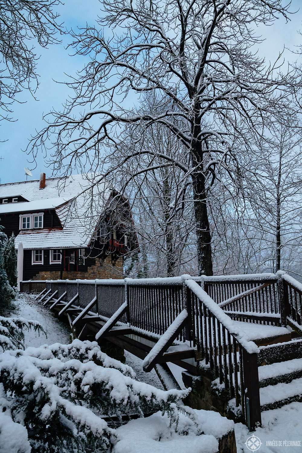 Bastei Bridge in Saxon Switzerland - How to plan a day trip from Dresden