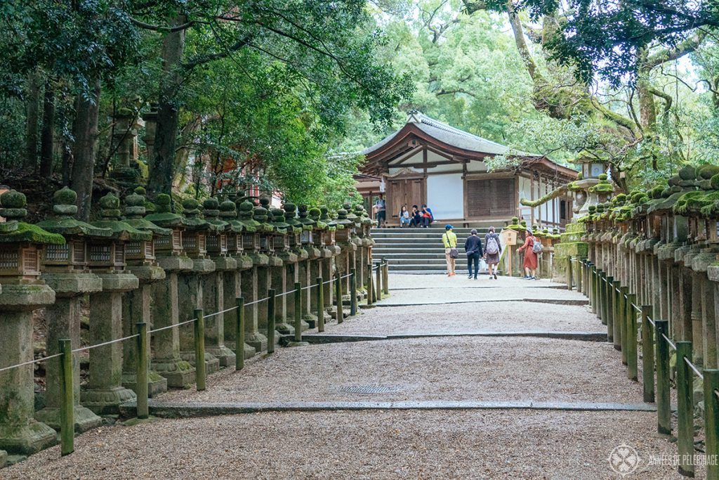 Kasuga Taisha Shrine in Nara [Travel Guide]