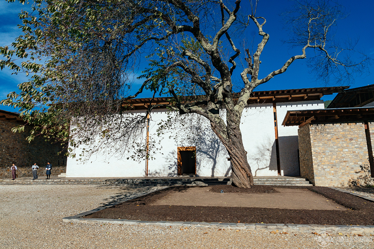 Aman Bhutan - a review of the fantastic Amankora luxury hotels