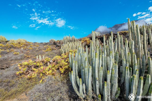 The 10 best places to visit in Tenerife - must-see tourist attractions
